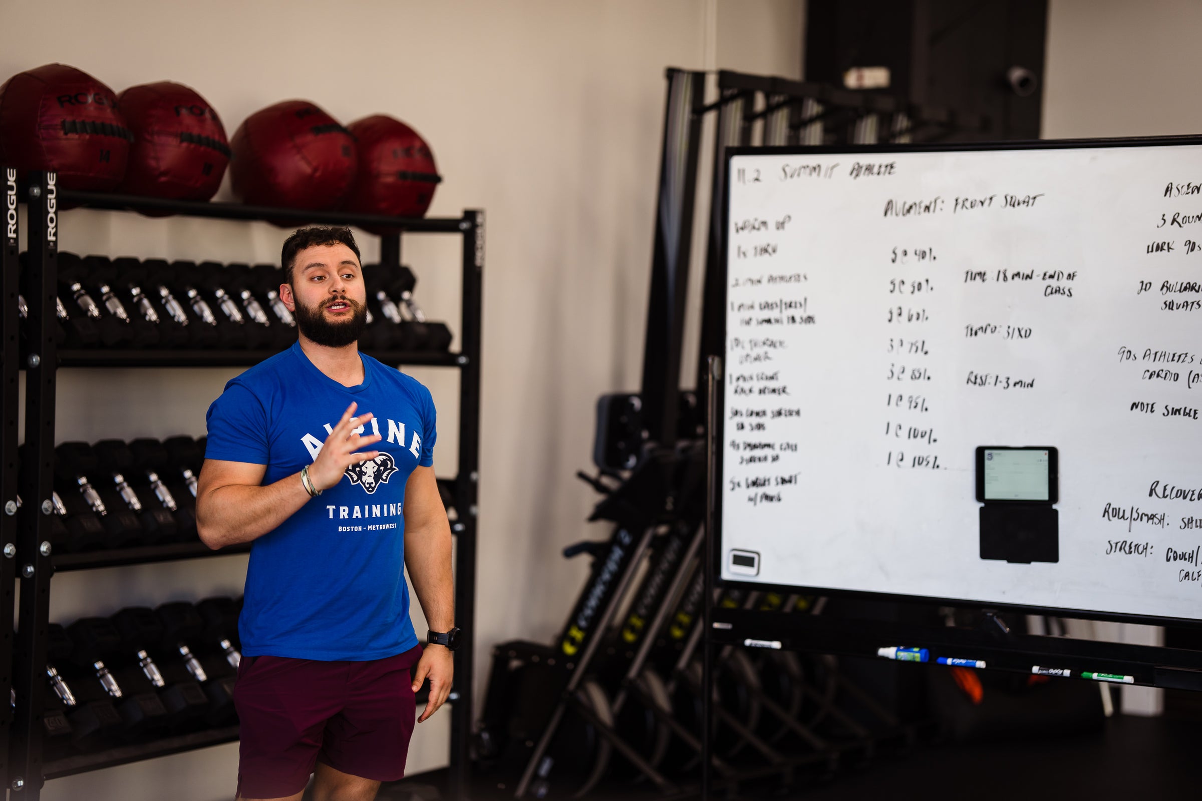 The Alpine Gym | HAM FIT MOB